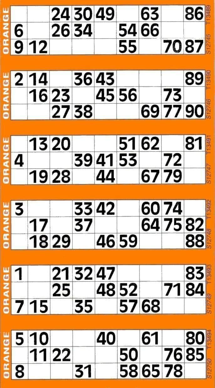 Bingo Ticket Flyers 6 To View